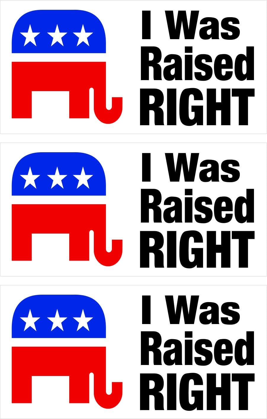 Amazon.com: I was Raised Right Republican Hard Hat Motorcycle Biker ...