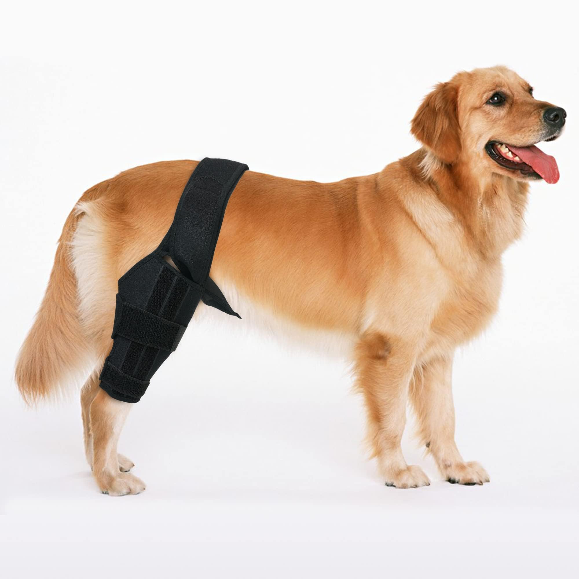 Dog Knee Brace, Dog Leg Brace, Support with Cruciate Ligament Injury ...