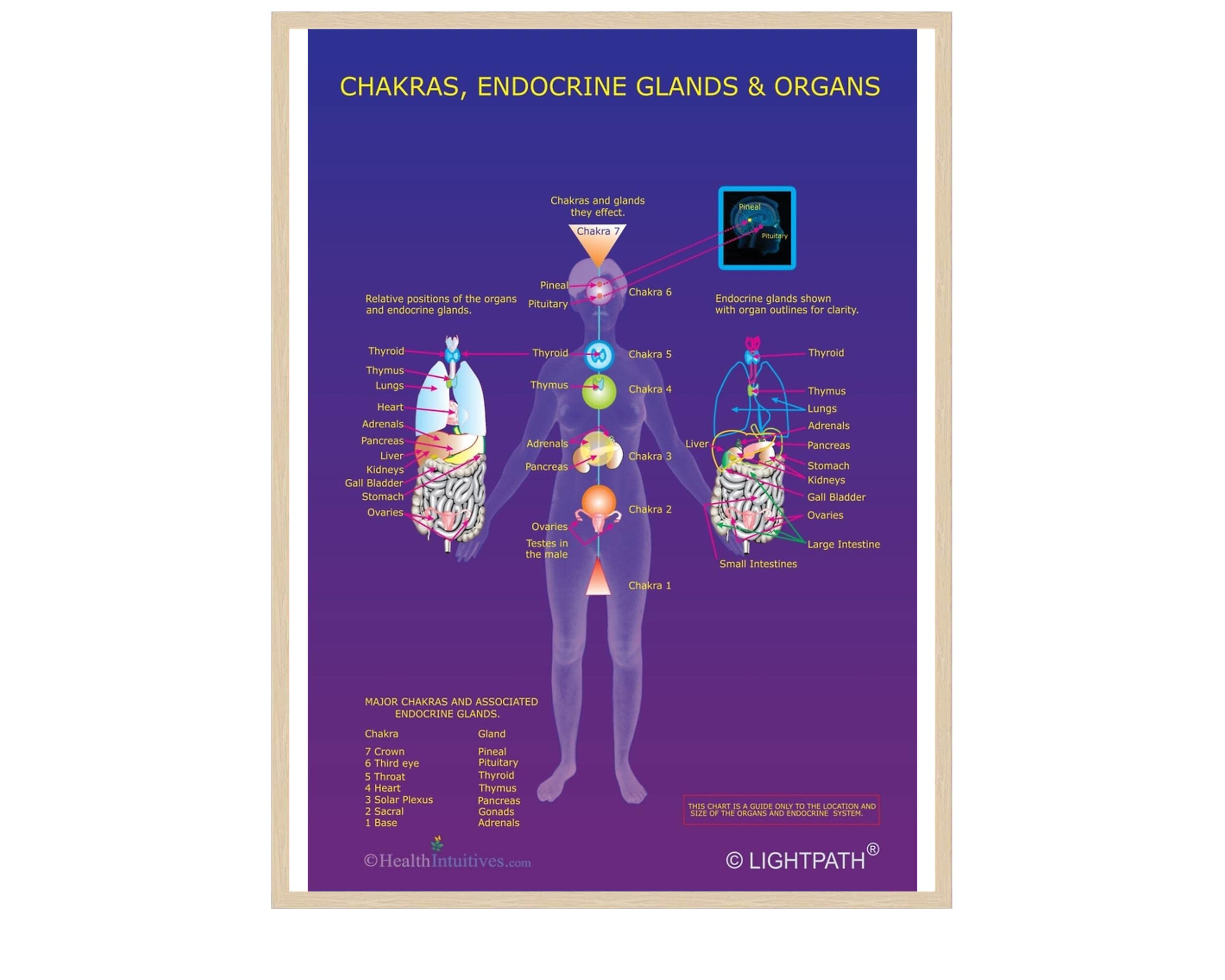 Buy Chakras, Endocrine Glands And Organs Human Body System Wall Art ...