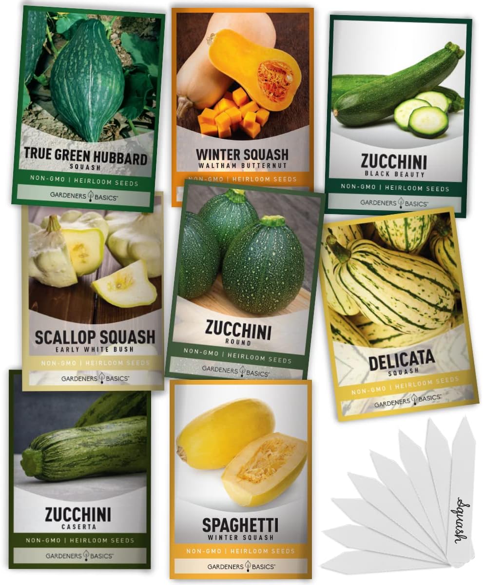 Amazon.com : Gardeners Basics, 8 Squash Seeds for Planting Individual ...