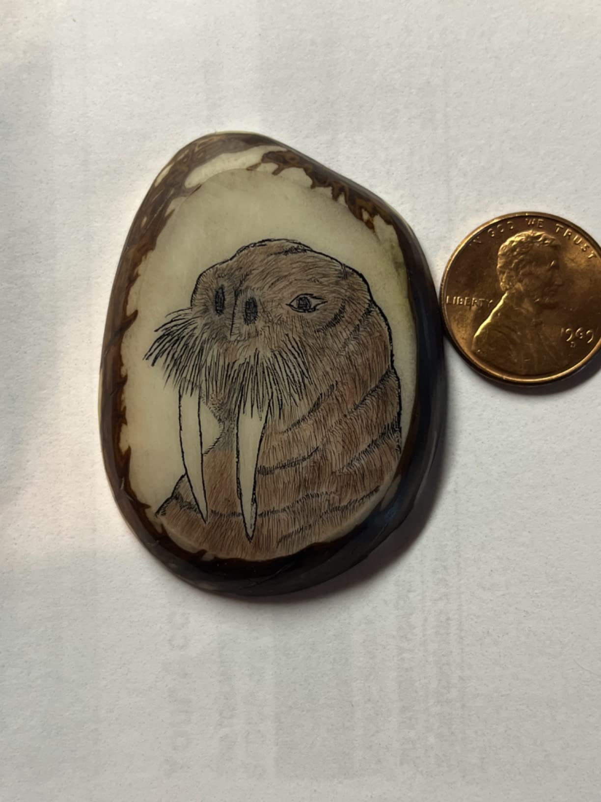 Amazon.com: Tagua Nut Slices (Pack of 25) : Toys & Games