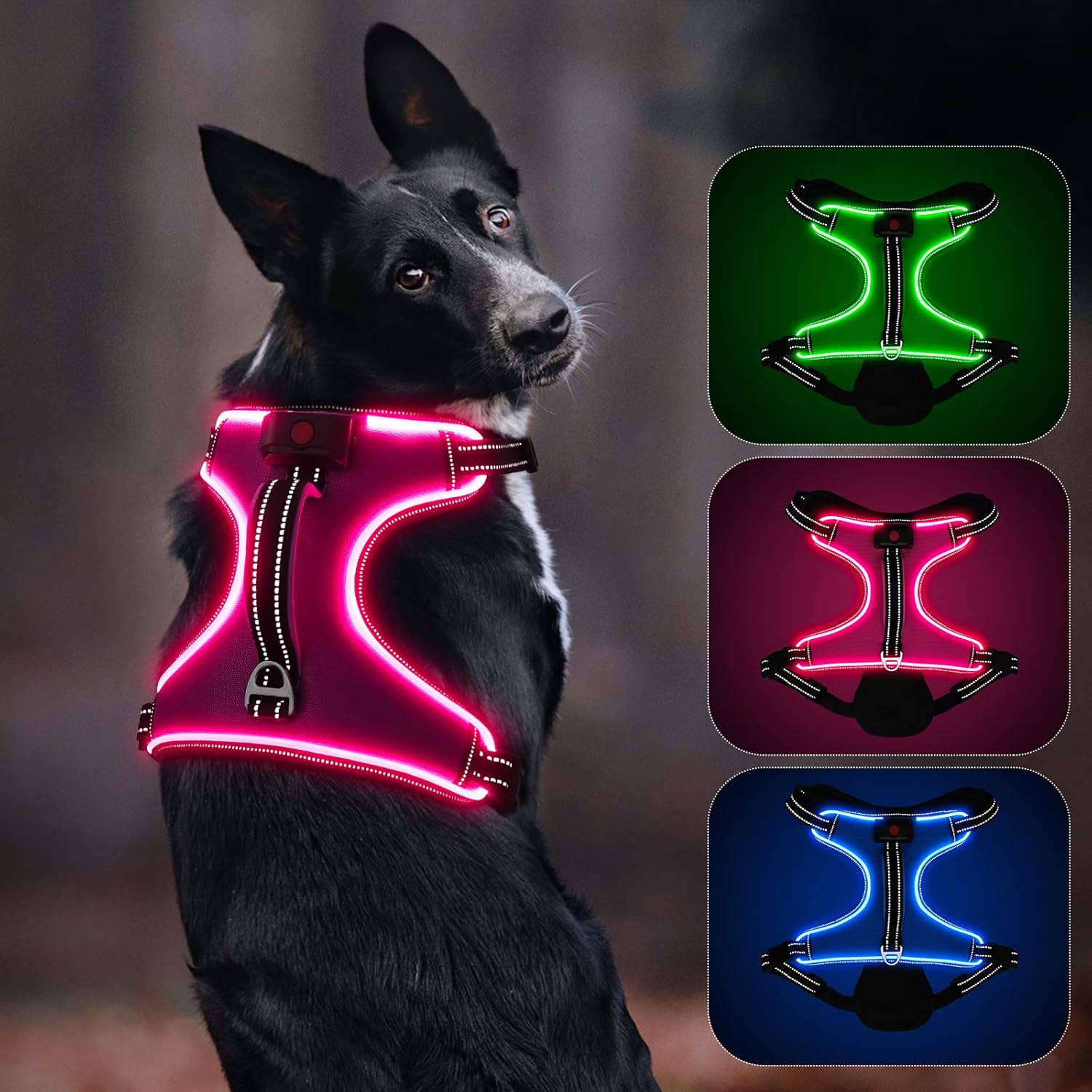 Dlitk Arnés para perro con luz, arnés LED con asa recargable y ...