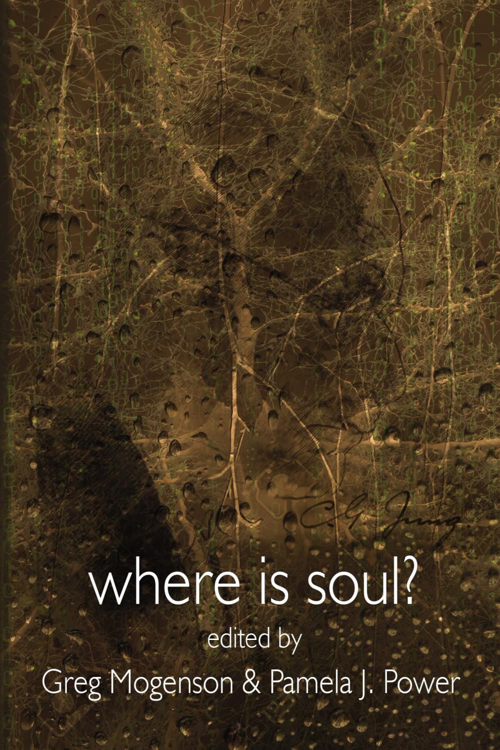 Amazon.com: Where is Soul? Psychology in Modernity: 9781738860654 ...