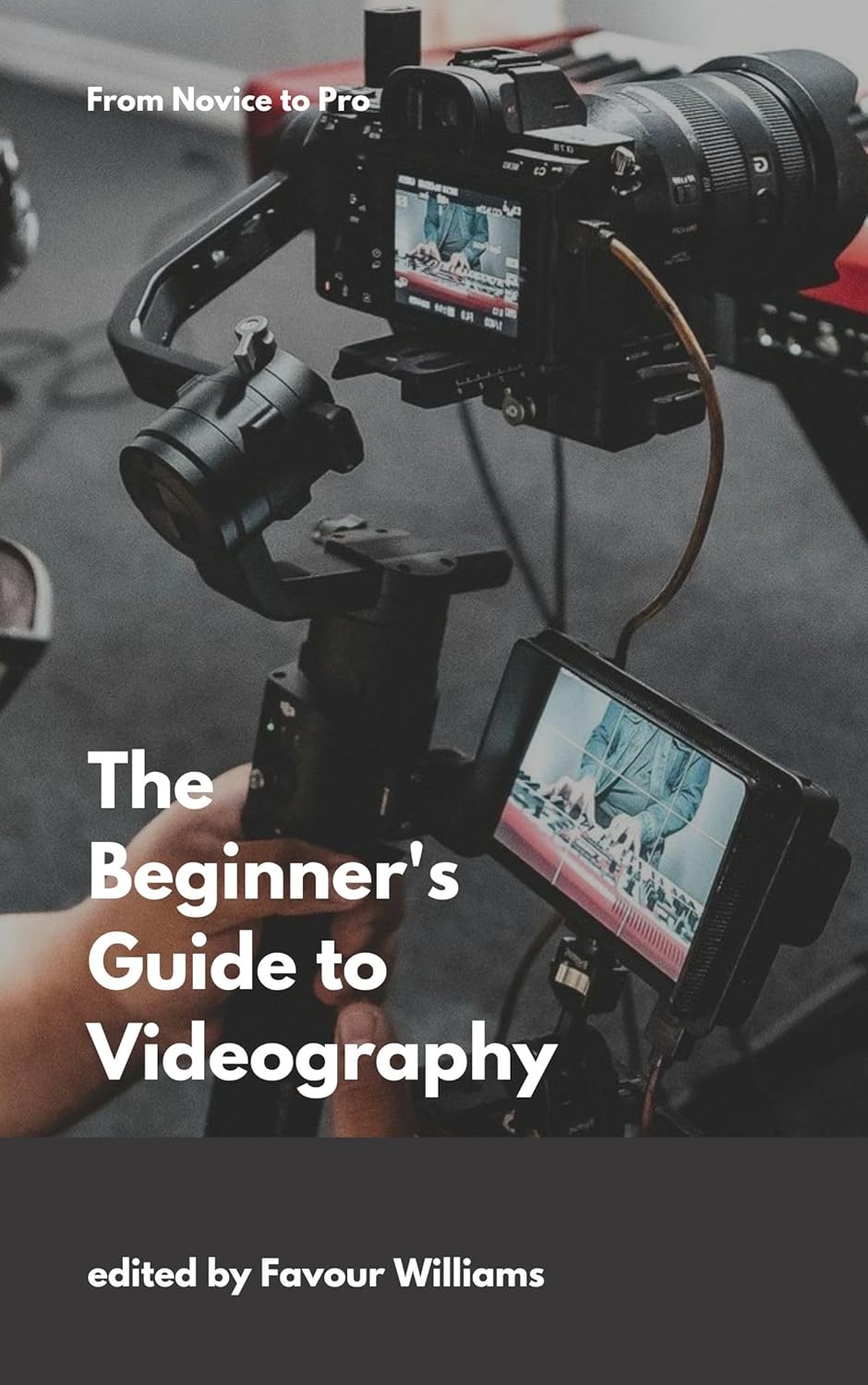 Amazon.com: The Beginner's Guide to Videography: From Novice to Pro ...