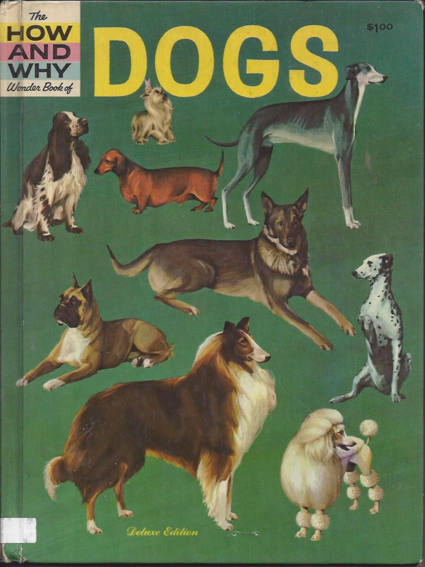 The How and Why Wonder Book of Dogs: Irving Robbin: Amazon.com: Books