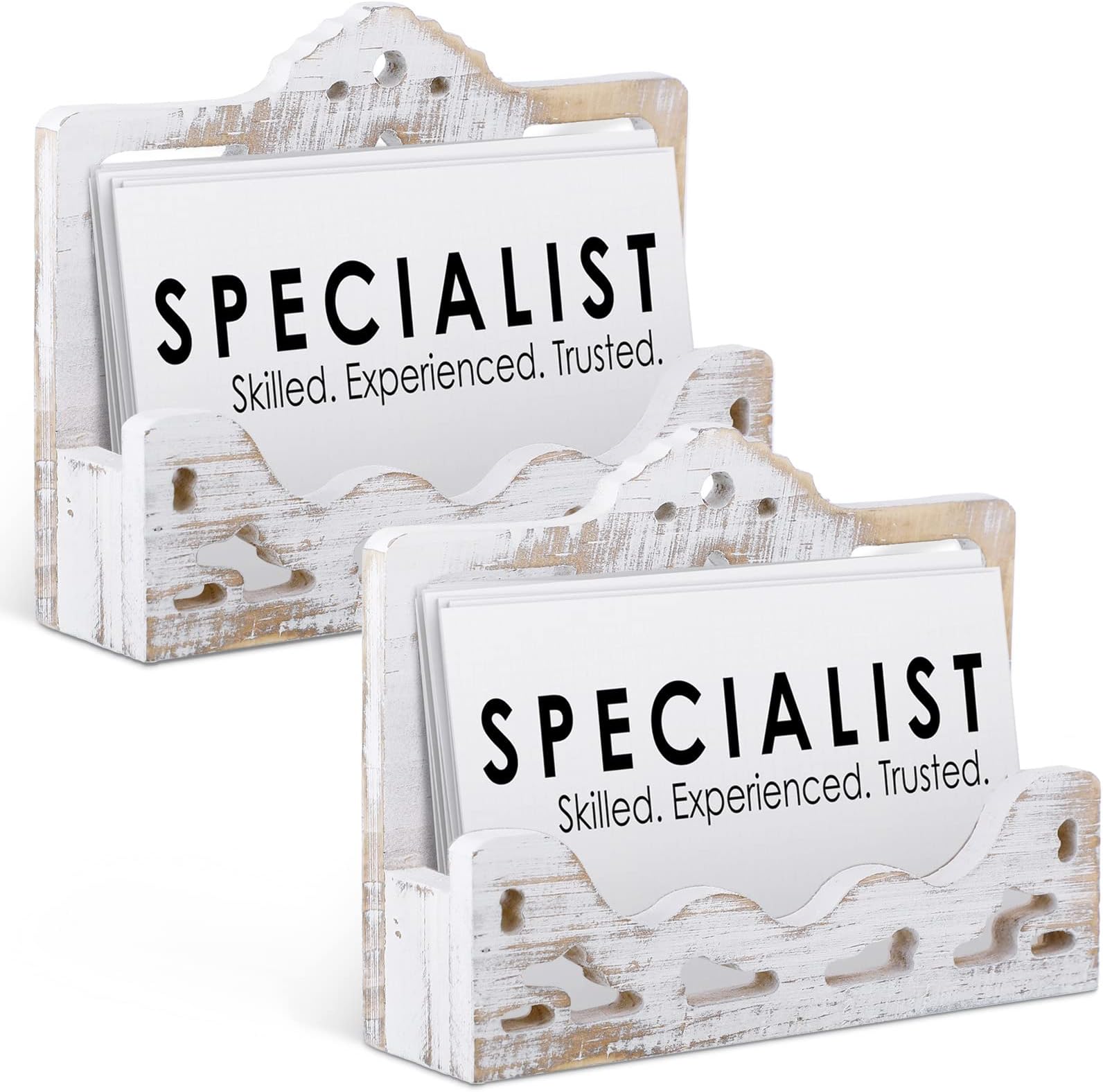 Amazon.com: wowhalolo Resin Succulent Business Card Holder Set of 3 ...