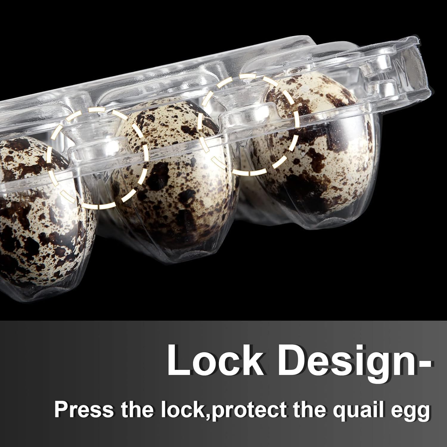 Snapklik.com : 100 Pcs Quail Egg Cartons, 18 Grids Clear Quail Egg ...
