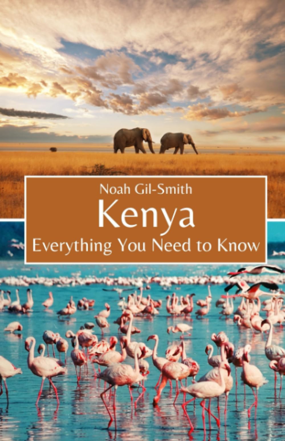 Kenya: Everything You Need to Know: Gil-Smith, Noah: 9798856246154 ...