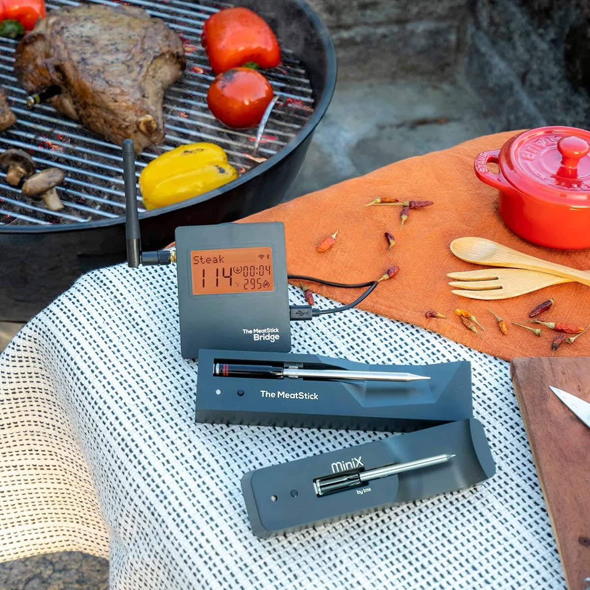 MeatStick WiFi Pro Set Termómetro inalámbrico para carne con Bluetooth ...
