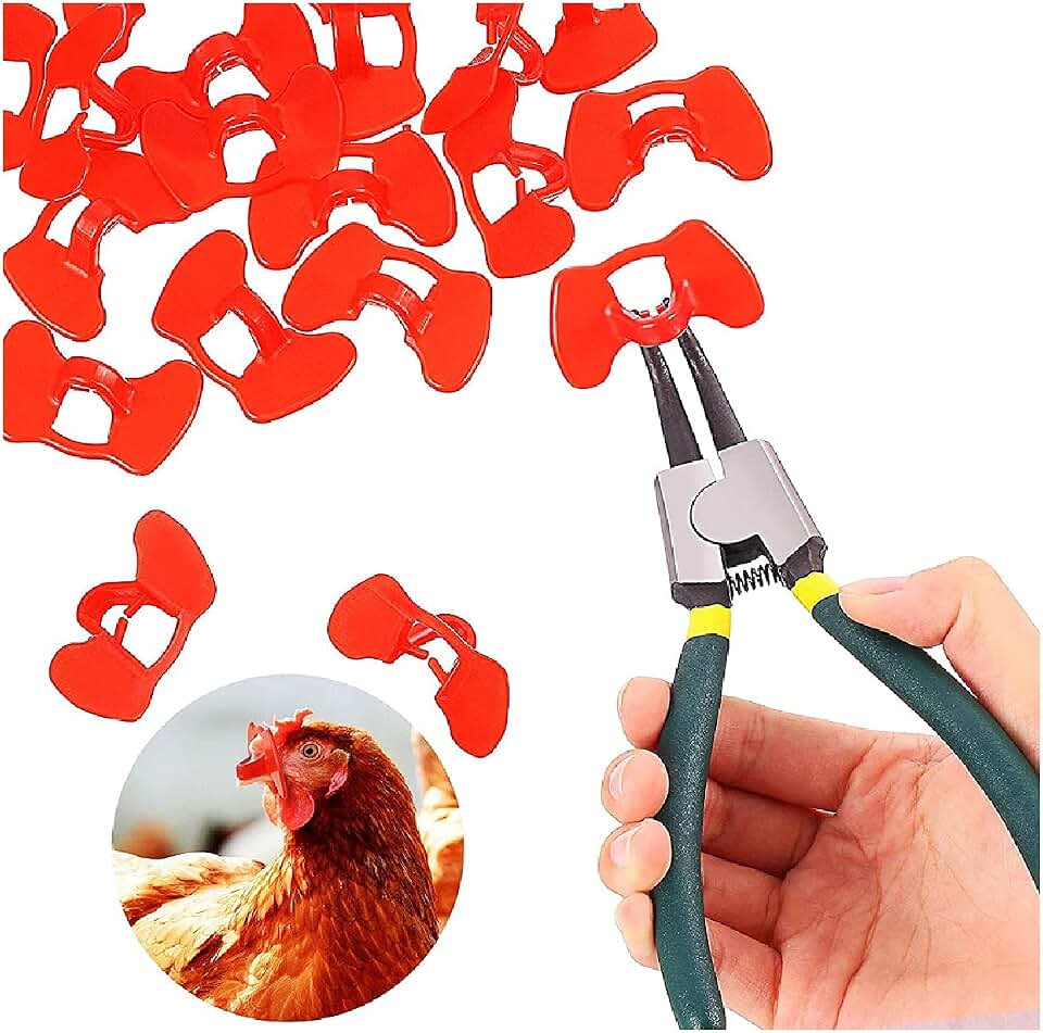 Amazon.ca: chicken blinders