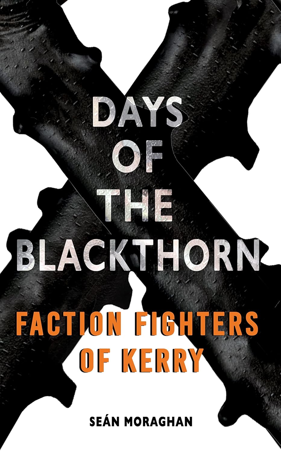 Amazon.com: Days of the Blackthorn: Faction Fighters of Kerry eBook ...