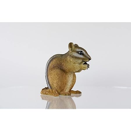 Amazon.com: Chipmunk Figurine : Home & Kitchen