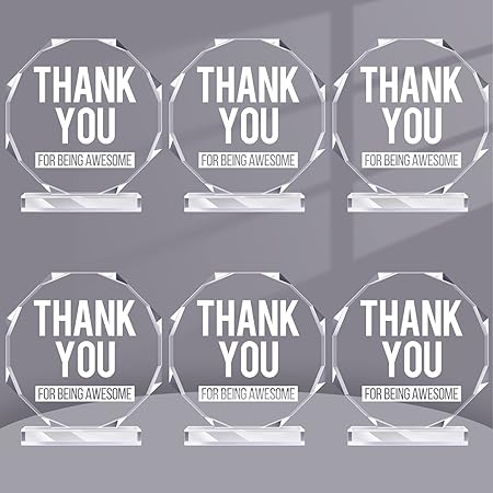 Amazon.com: 6 Pcs CNA Gift Thank You Gifts Coworker Gifts Being Awesome ...