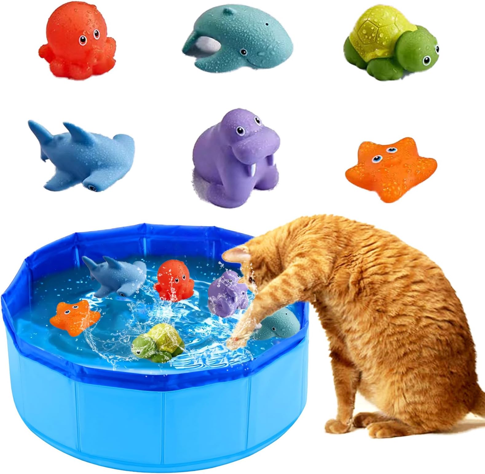 Amazon.com: Astraguix Cat Water Toy - Cat Pool with Interactive Fish ...
