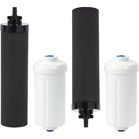 Amazon.com: YKMGON 2PCS Black Filters and 2PCS Fluoride Water Filter ...