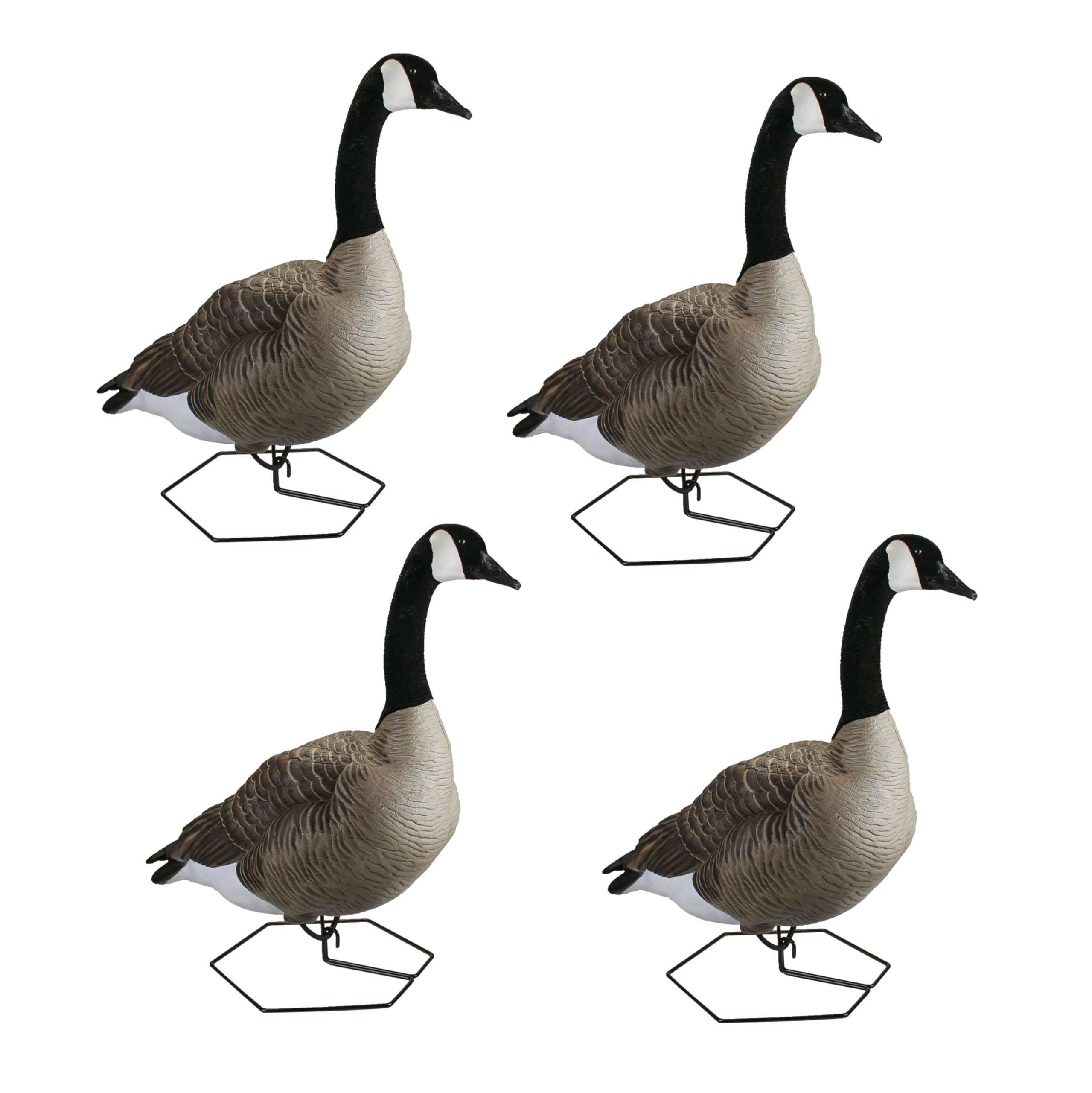 Amazon.com: Beavertail DOA Decoys Dominator Series Full Body Sentry ...