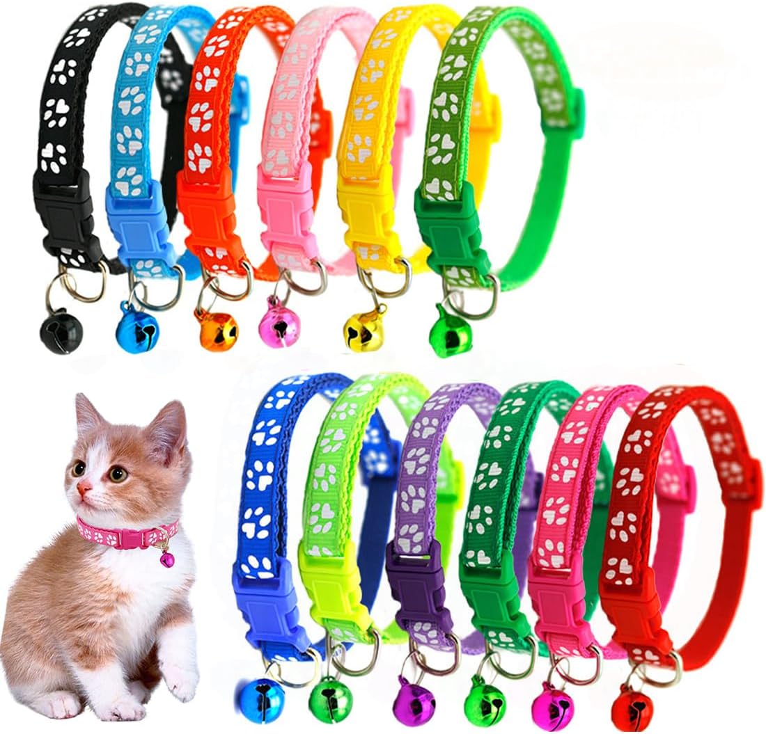 CUHZA 12 collane per cani，collari per cuccioli，Collana Personalizzata ...