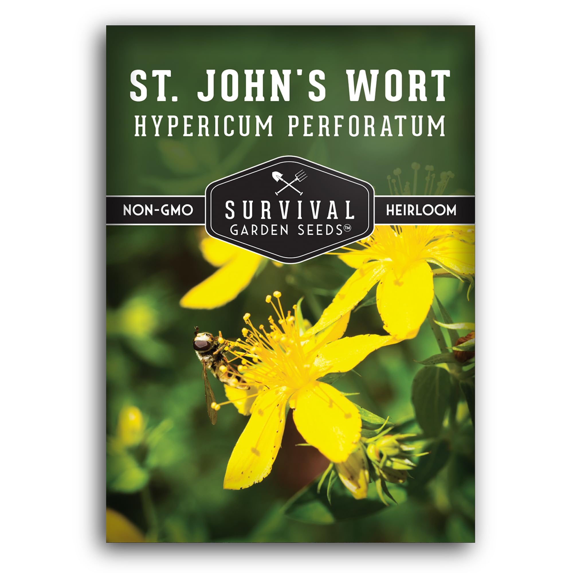 Amazon.com : St. John's Wort Seeds for Planting - 1 Seed Packet with ...