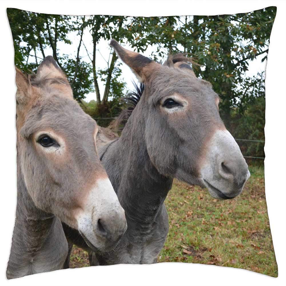 Mule Head Profile