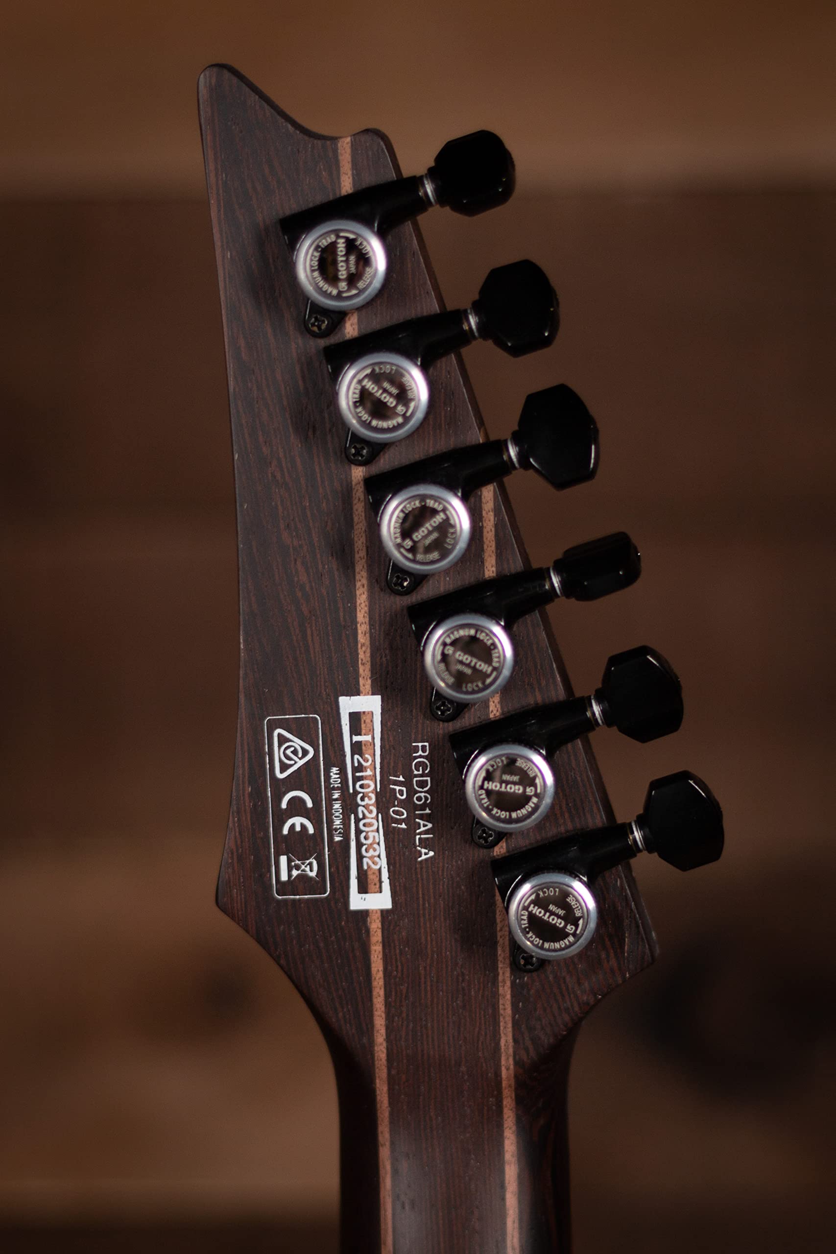 Ibanez RGD Axion Label RGD61ALA Electric Guitar, Macassar Ebony ...