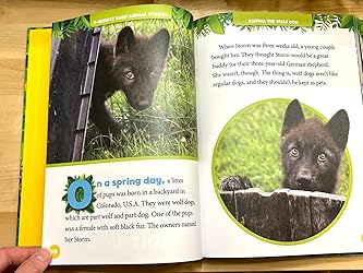 National Geographic Kids 5-Minute Baby Animal Stories (5-Minute Stories ...