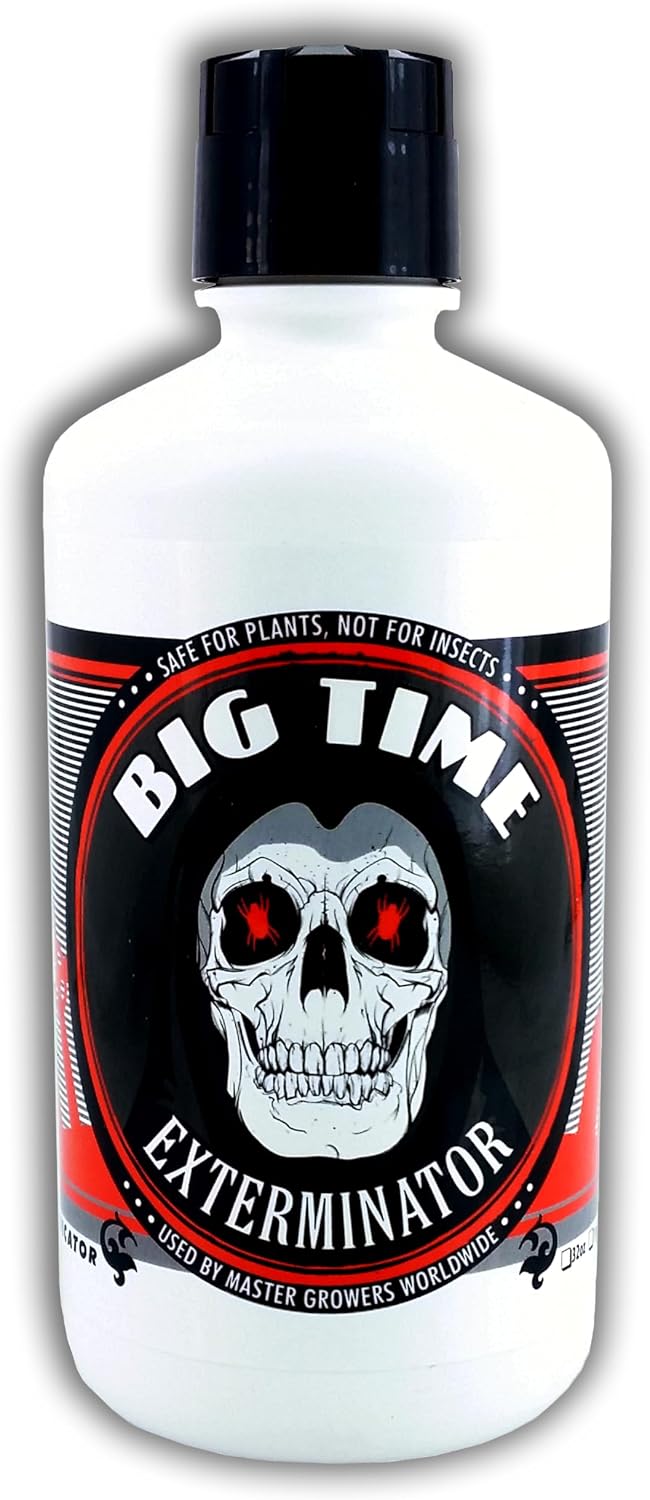 Amazon.com: Big Time Exterminator 32oz Qt : Patio, Lawn & Garden