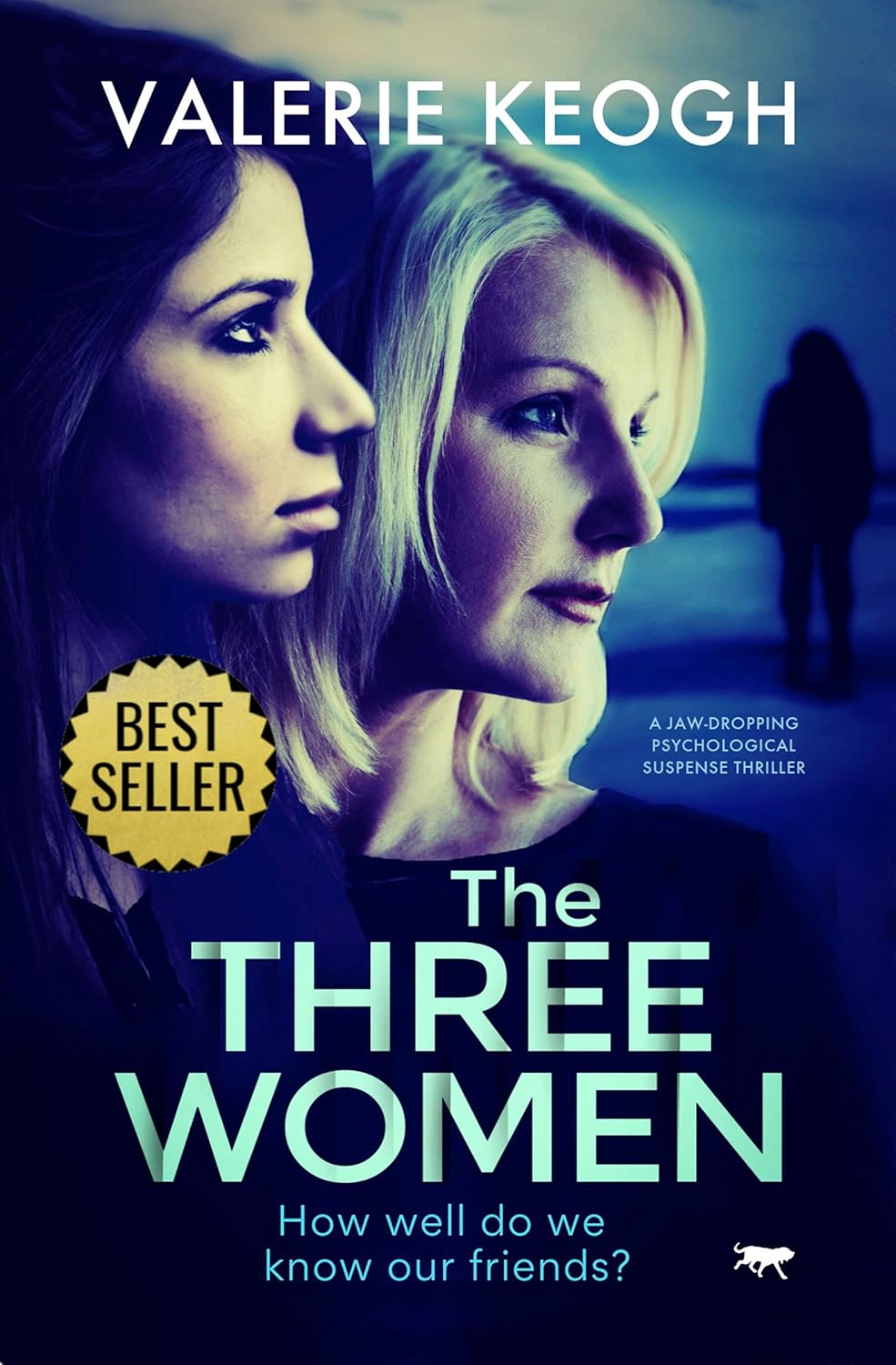 The Three Women: A Jaw-Dropping Psychological Suspense Thriller ...
