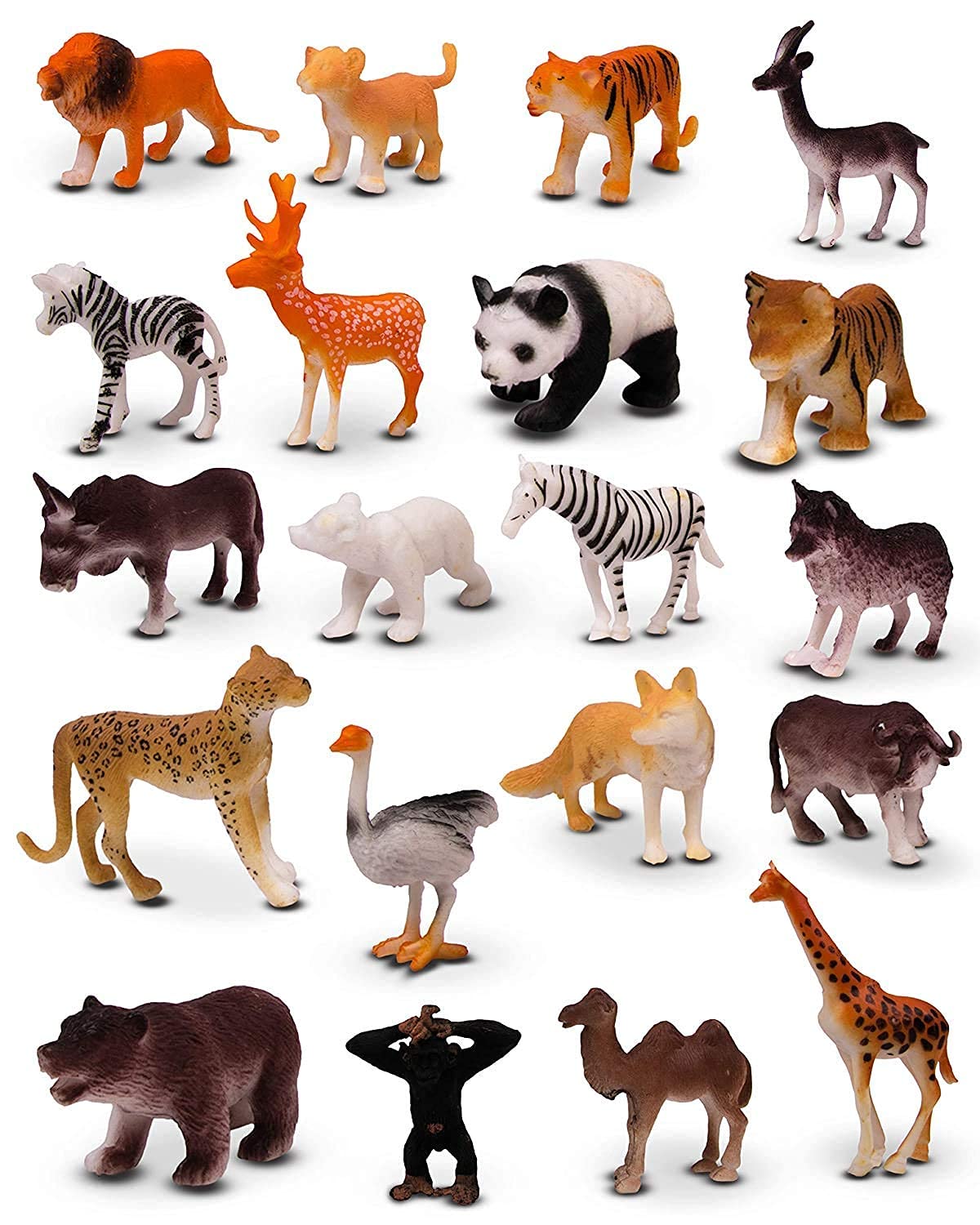 All Animals In The World Pictures