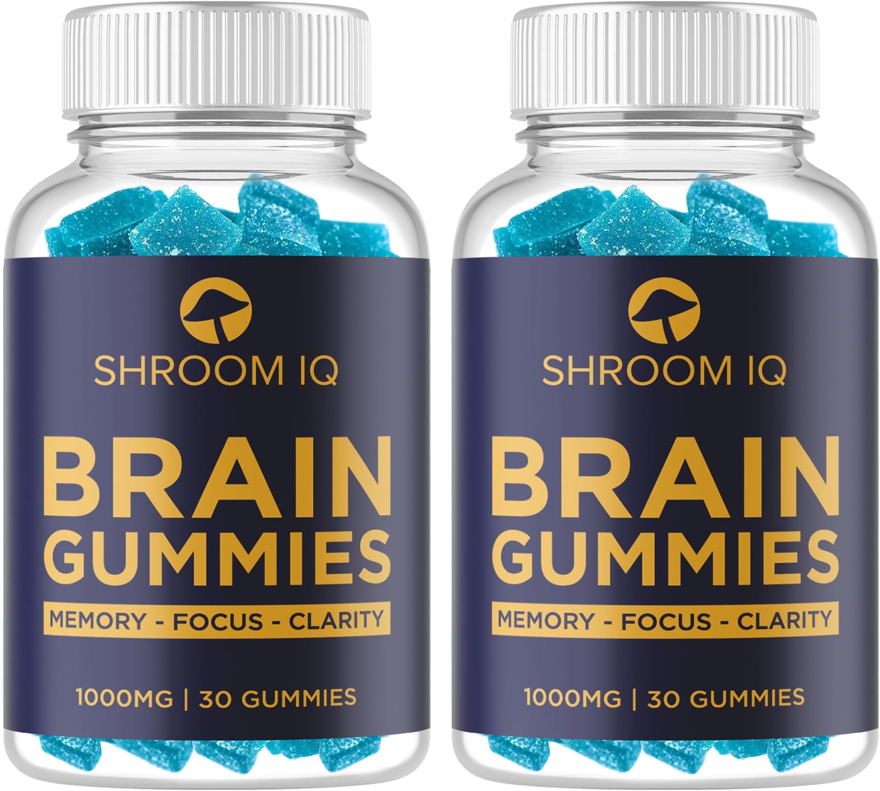 Amazon.com: Shroom IQ Brain Supplements for Memory and Focus ...
