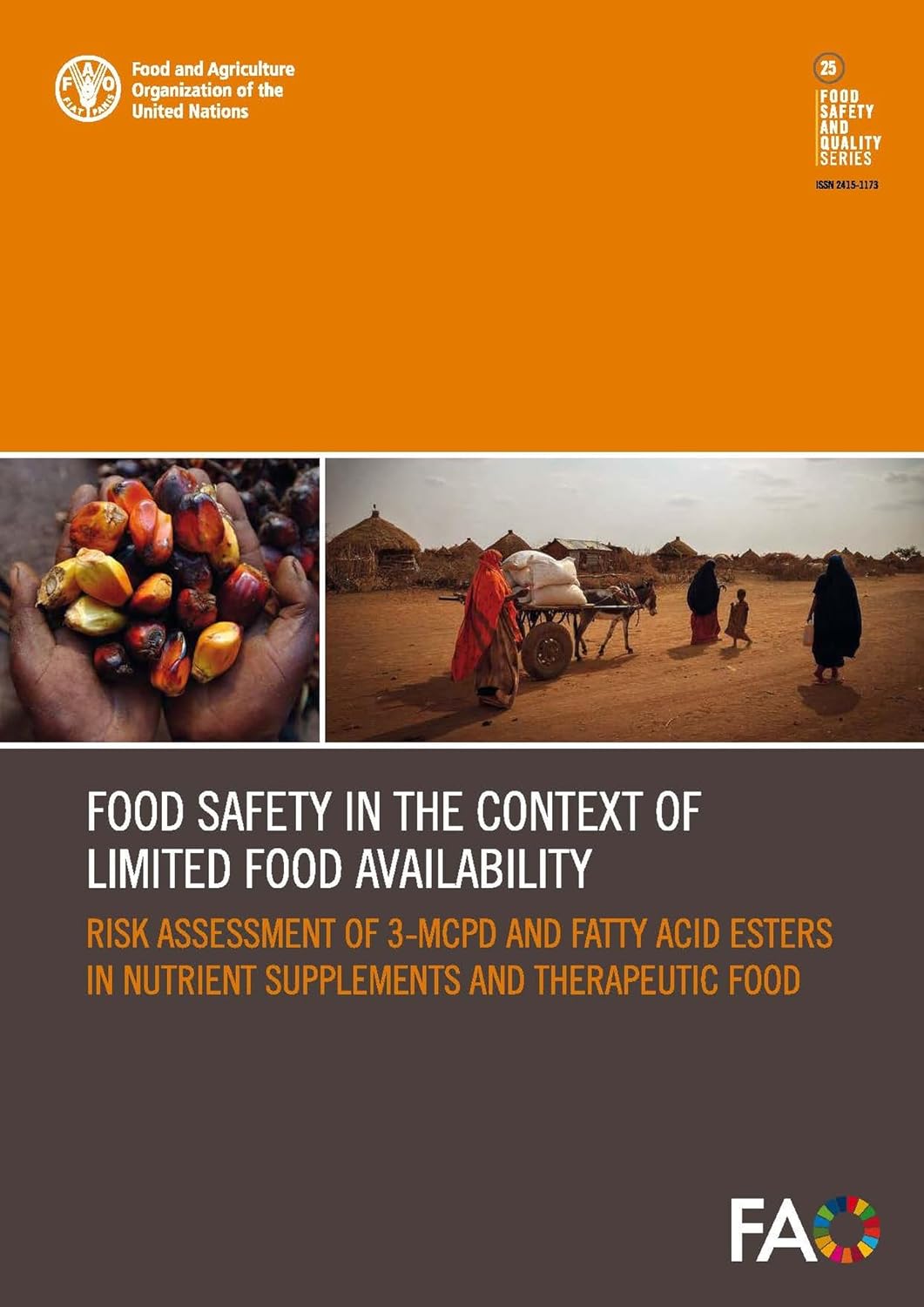 Amazon.co.jp: Food safety in the context of limited food availability: Risk assessment of 3-MCPD ...
