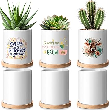 Amazon.com: Teenyyou 6 Pcs Sublimation Flower Pot Blanks Mini 3.2 in ...