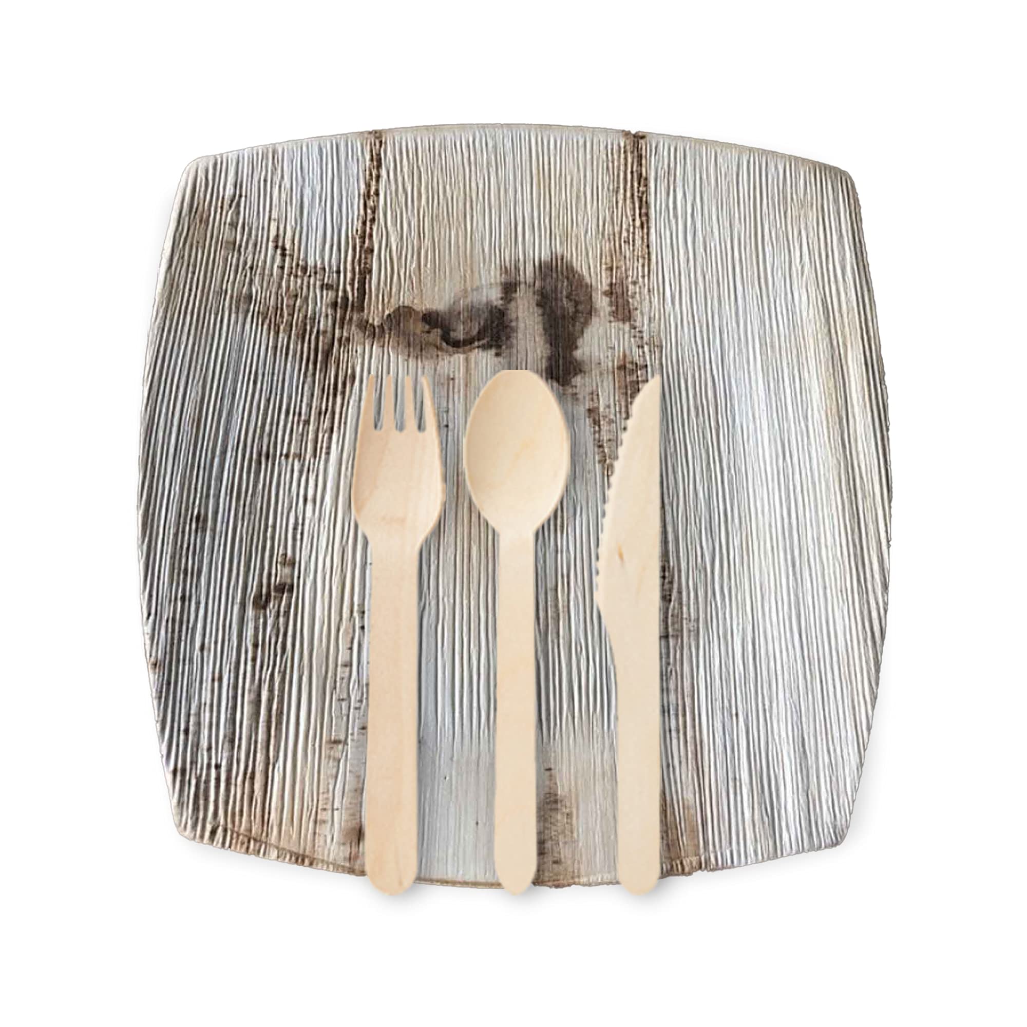 Biodegradable Wedding Plates 10" / 25 Pack Natural Disposable Palm