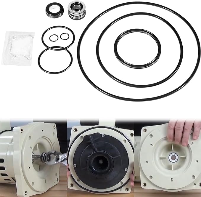 Amazon.com: Bzcovac Pool Pump Gasket Seal O-Ring Rebuild Kit for ...