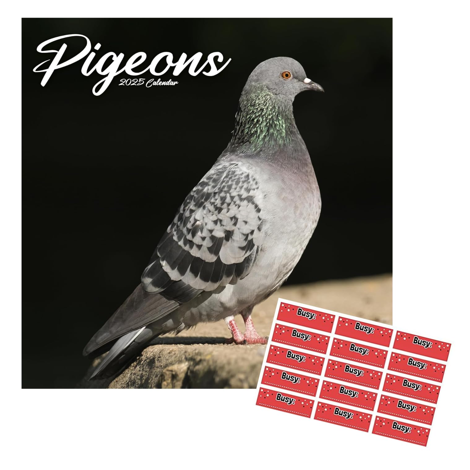 Pigeons Calendar 2025 | Square Wall Calendar | 16 Month | With Free ...