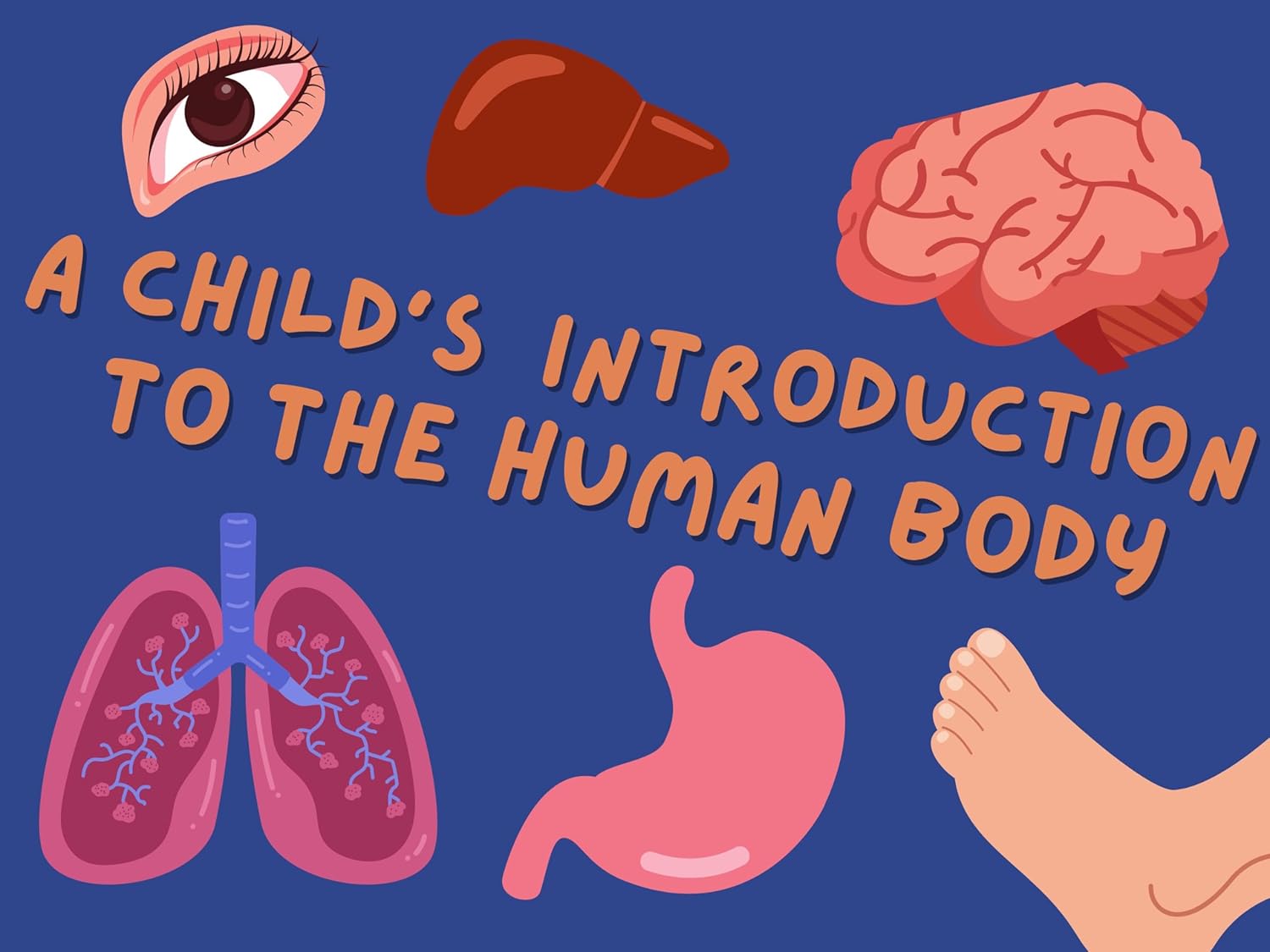 A Child's Introduction to the Human Body - Kindle edition by Gutta ...