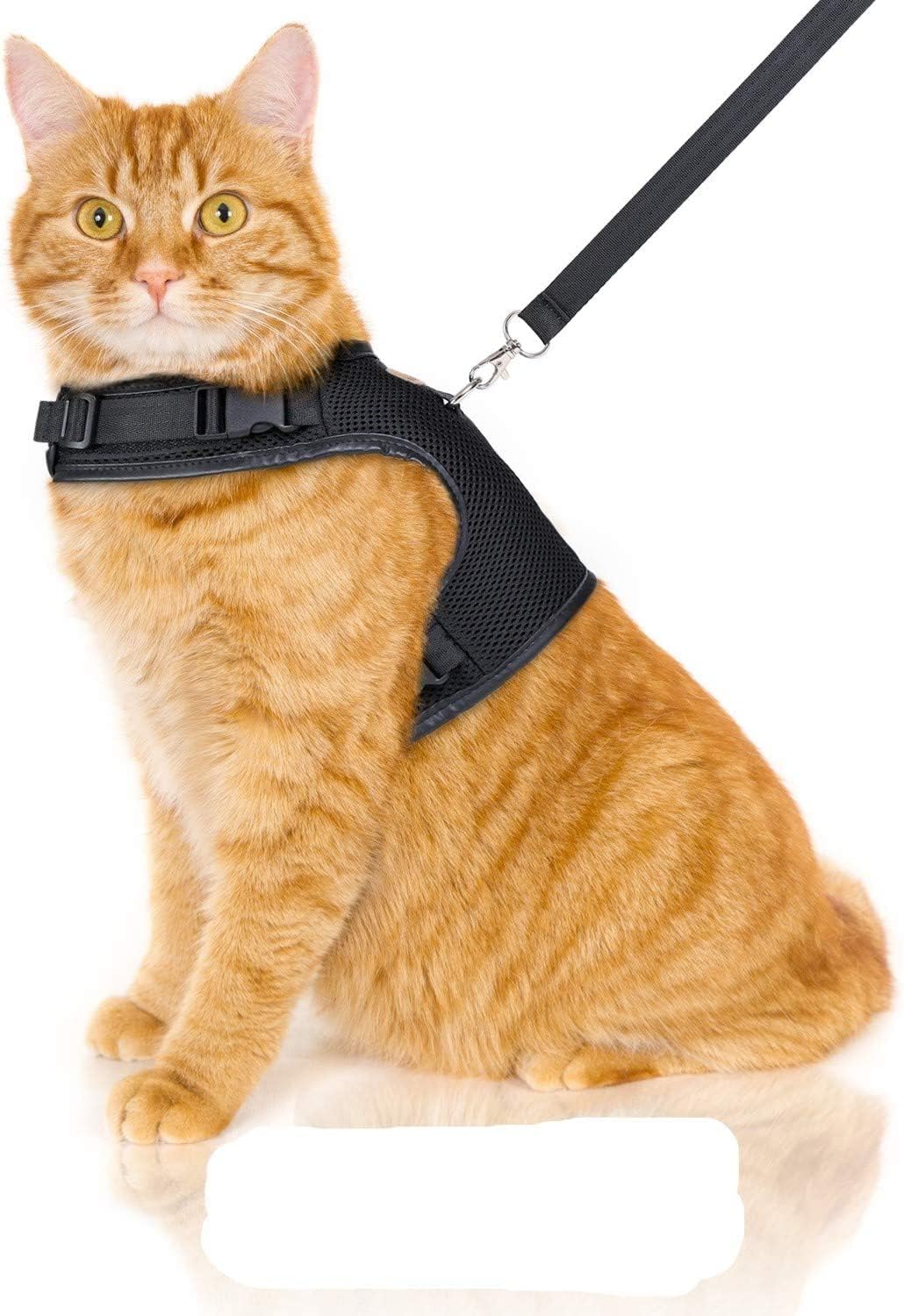 Bella & Balu Cat Harness incl. Lead – Escape-proof and robust chest ...