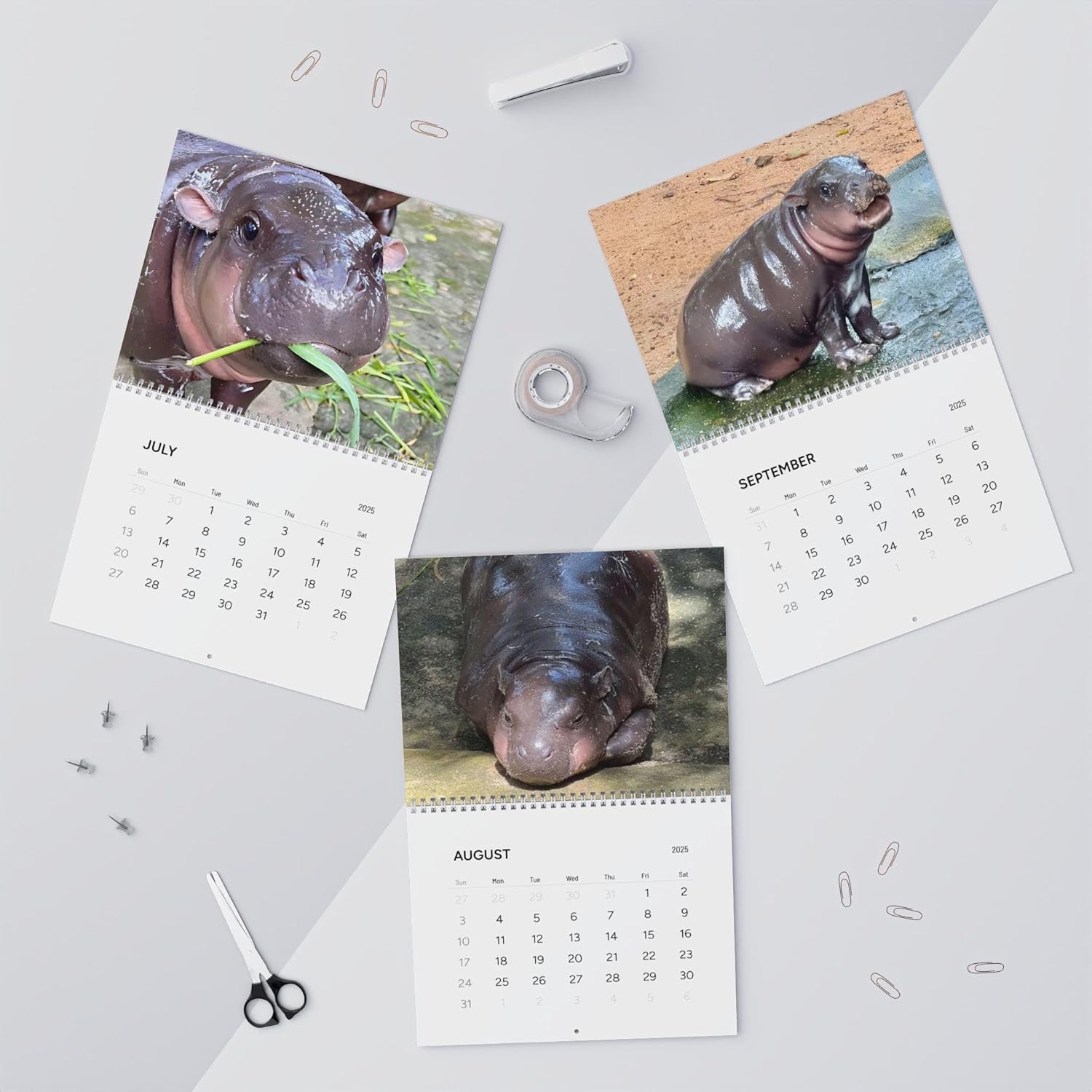 Moo Deng Calendar 2025, Moo Deng Calendar, Moodeng Bahrain | Ubuy