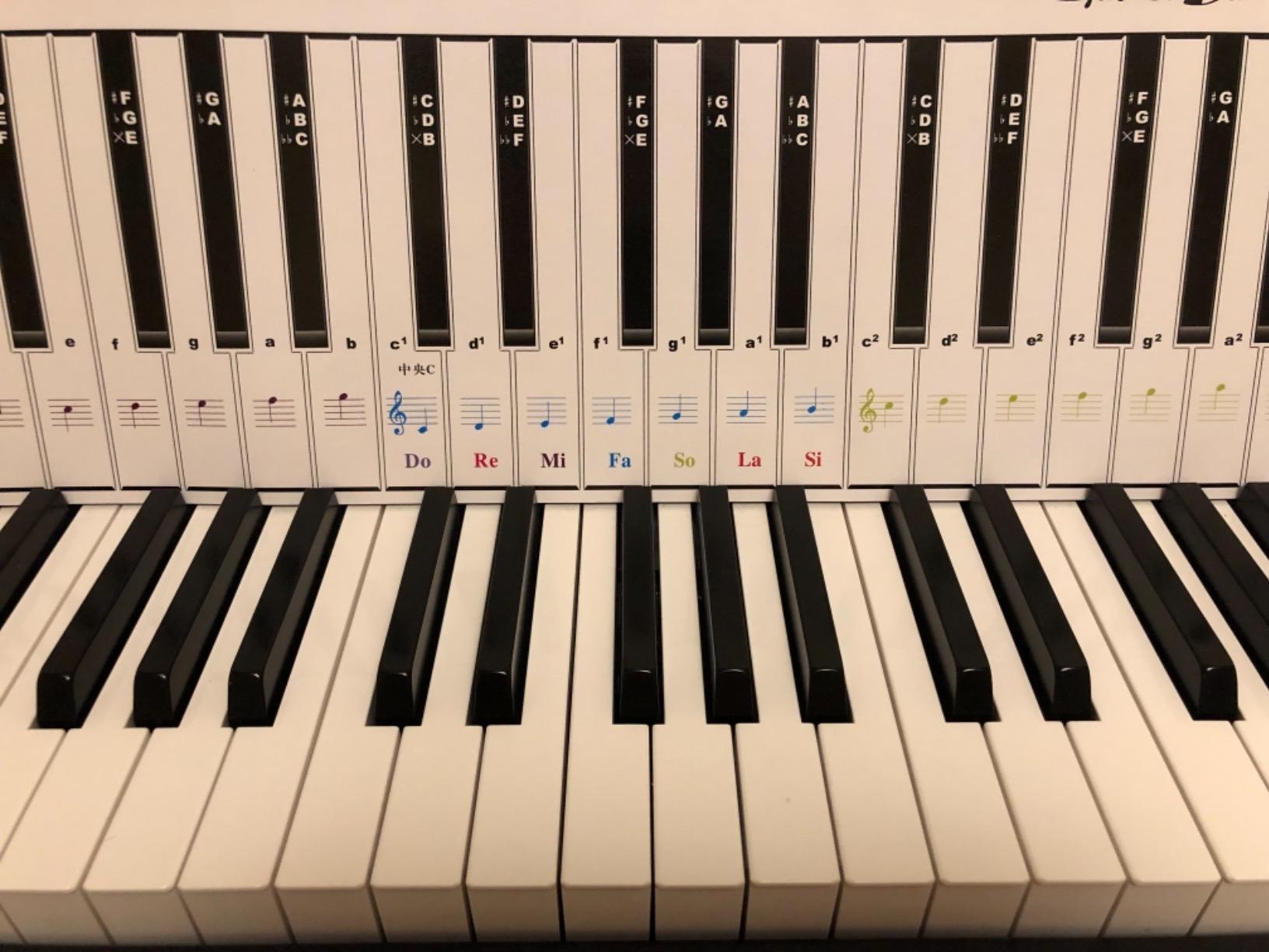 Amazon.com: Ultimate Piano Keyboard Learning Aid Set - 1:1 Scale 88 ...