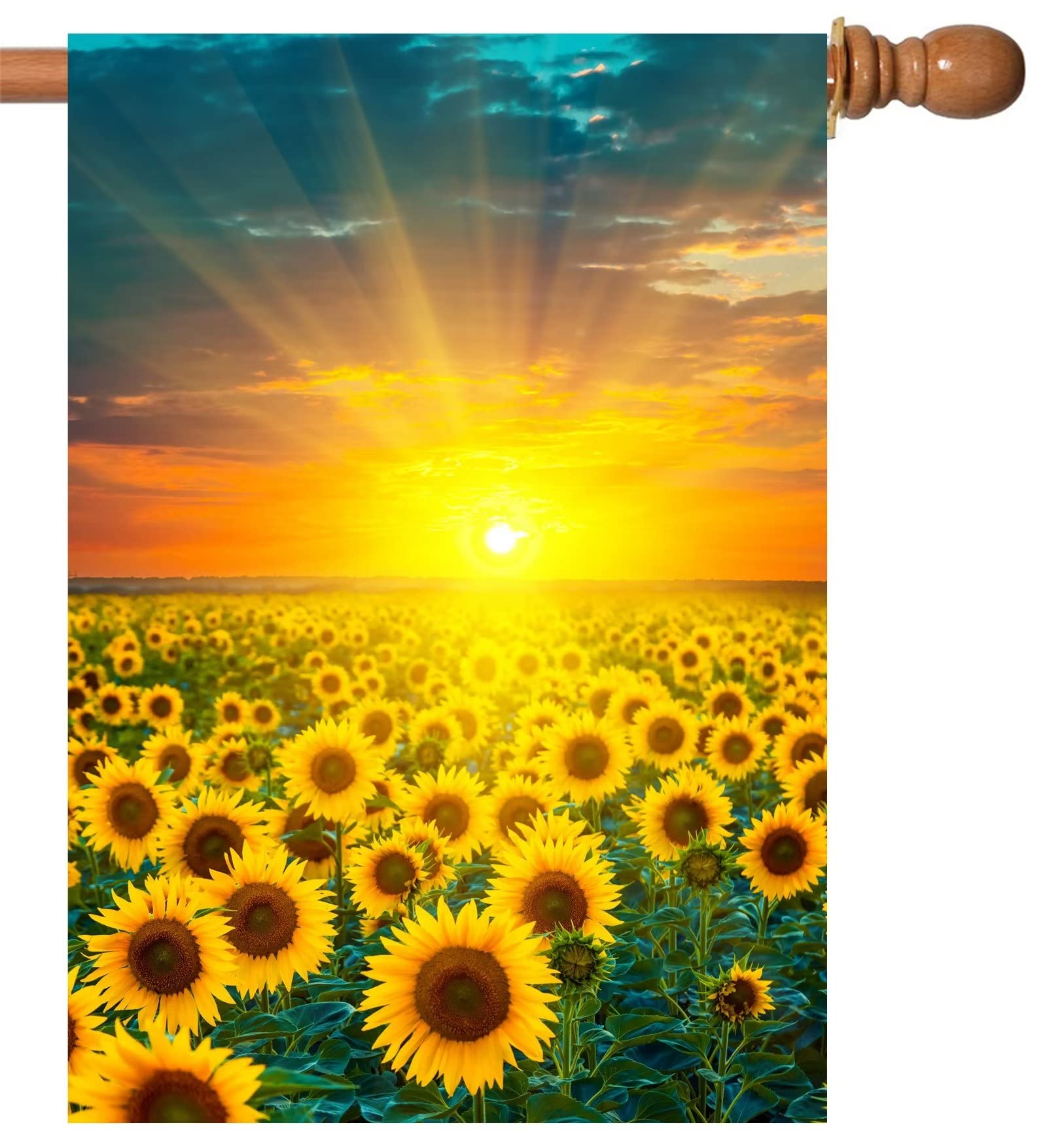 Amazon.com : Txtains Sunflower Flower Fields Farm Sunset Spring Summer ...