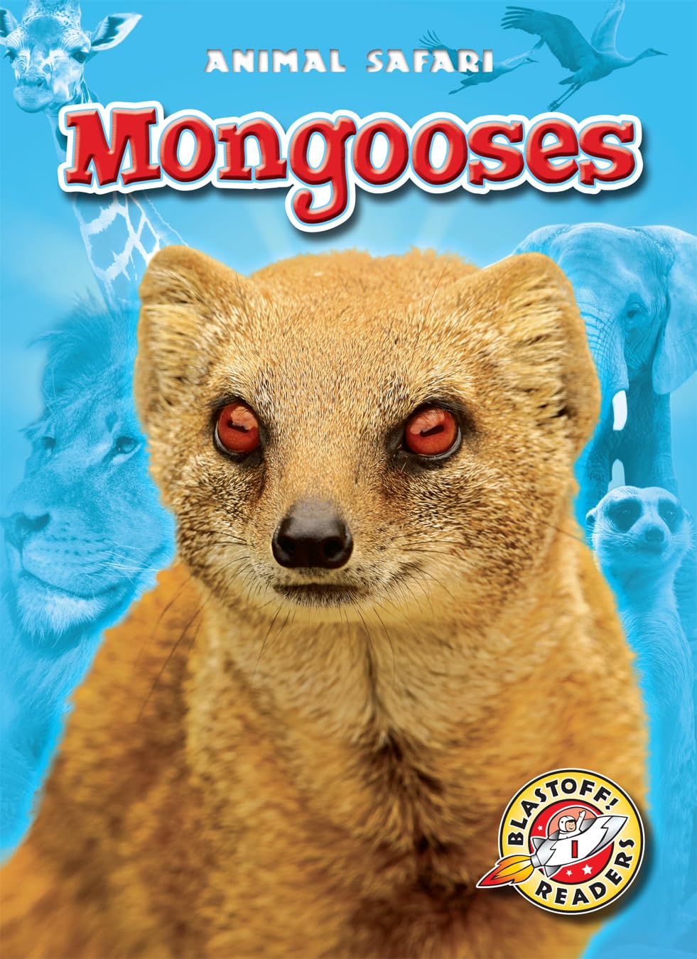 Mongooses (Blastoff! Readers: Animal Safari): Borgert-Spaniol, Megan ...