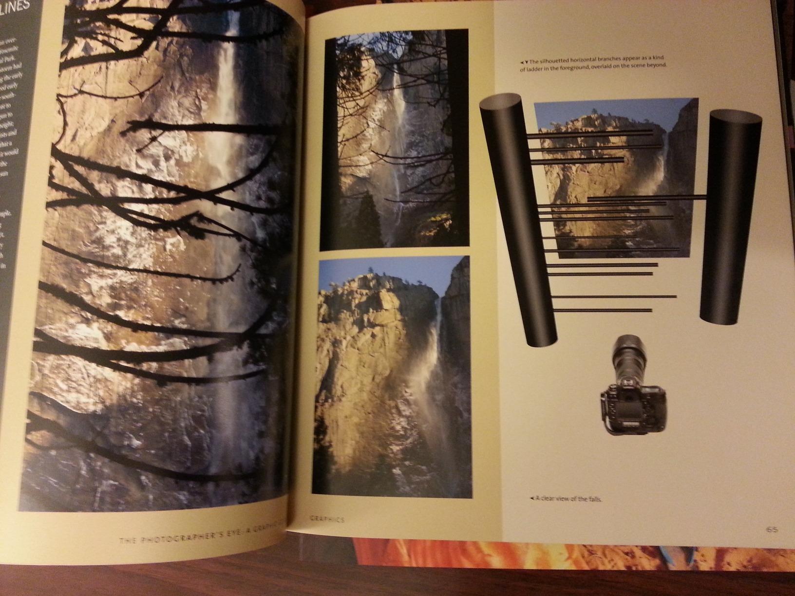 The Photographer's Eye: A Graphic Guide: Instantly Understand ...