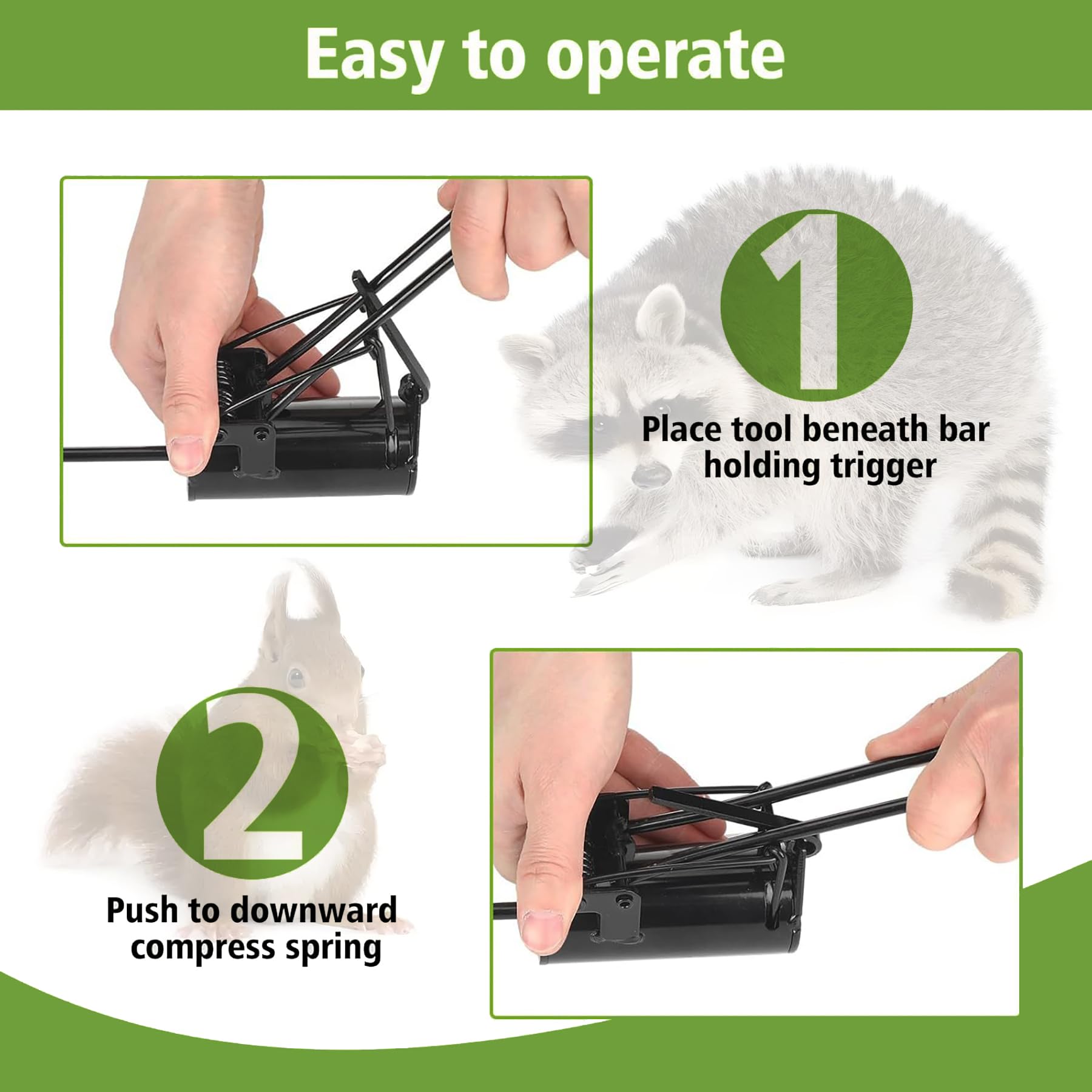 Foot Traps For Raccoons