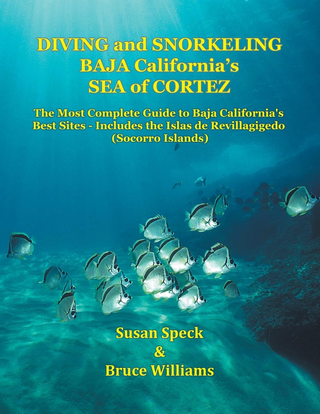 Diving and Snorkeling Baja California’s Sea of Cortez: The Most ...