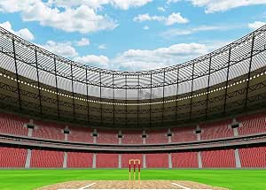 Amazon.com : Fmarui Modern Round Cricket Stadium Photography Backdrop ...