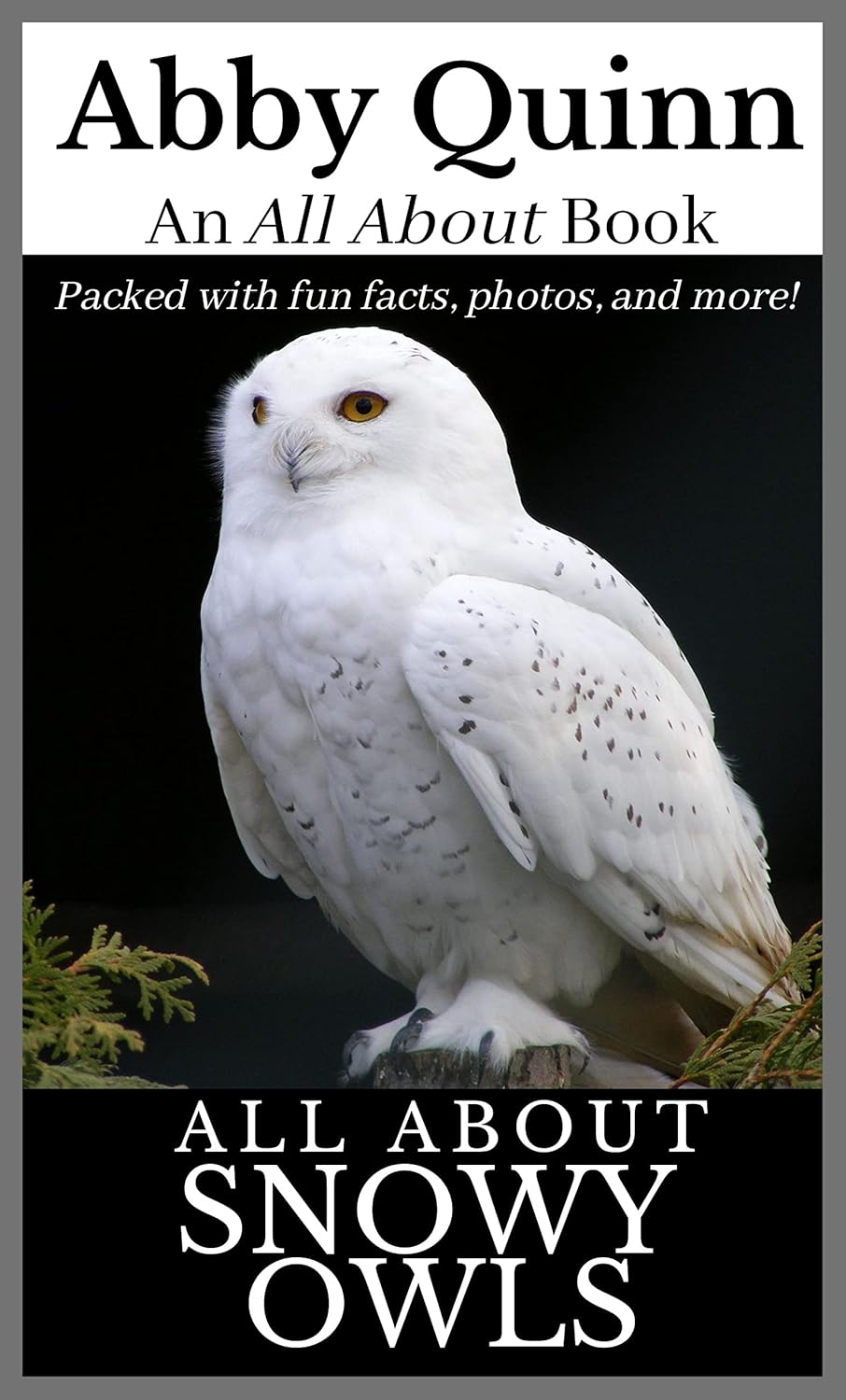 All About Snowy Owls: An Animal Facts Book For Kids (All About Animals ...