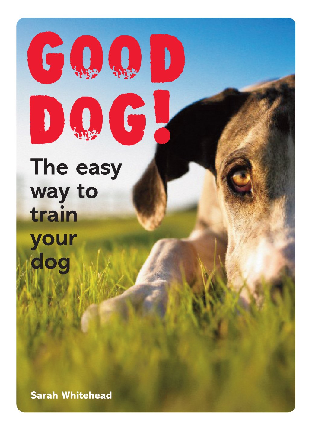 Good Dog!: The Easy Way to Train Your Dog: Whitehead, Sarah ...
