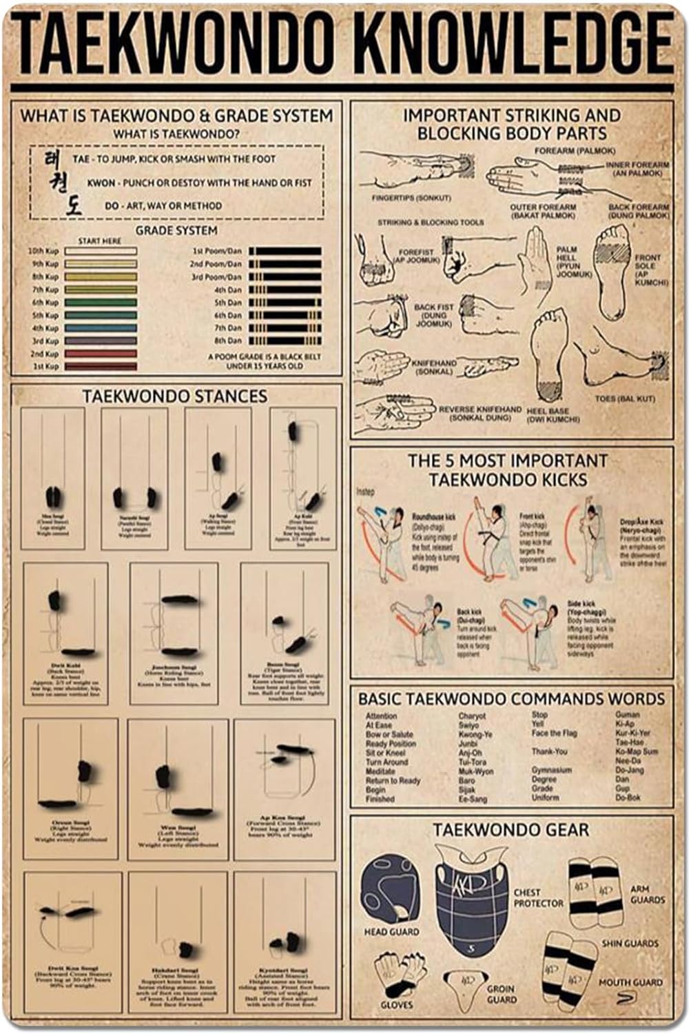 Amazon.com : Taekwondo Knowledge Metal Tin Signs Taekwondo Stances ...