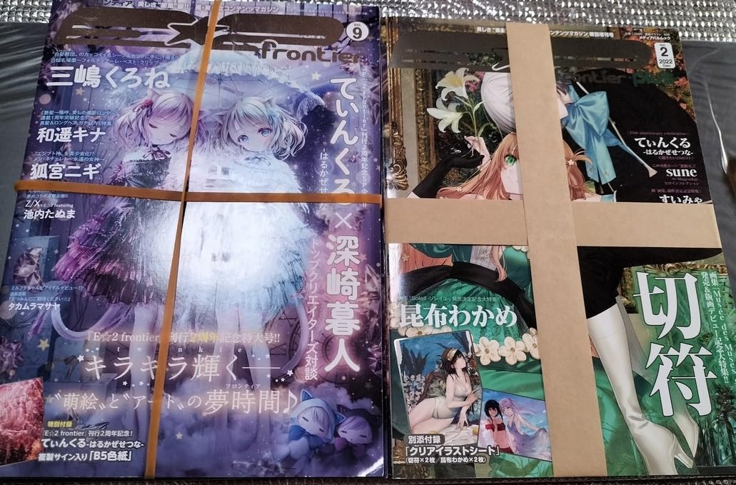 Amazon.co.jp: E☆2(えつ) frontier Vol.9 (メディアパルムック) : 本