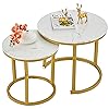 Amazon.com: Nesting Coffee Table Set of 2, Modern Round Coffee Tables for Living Room with White ...