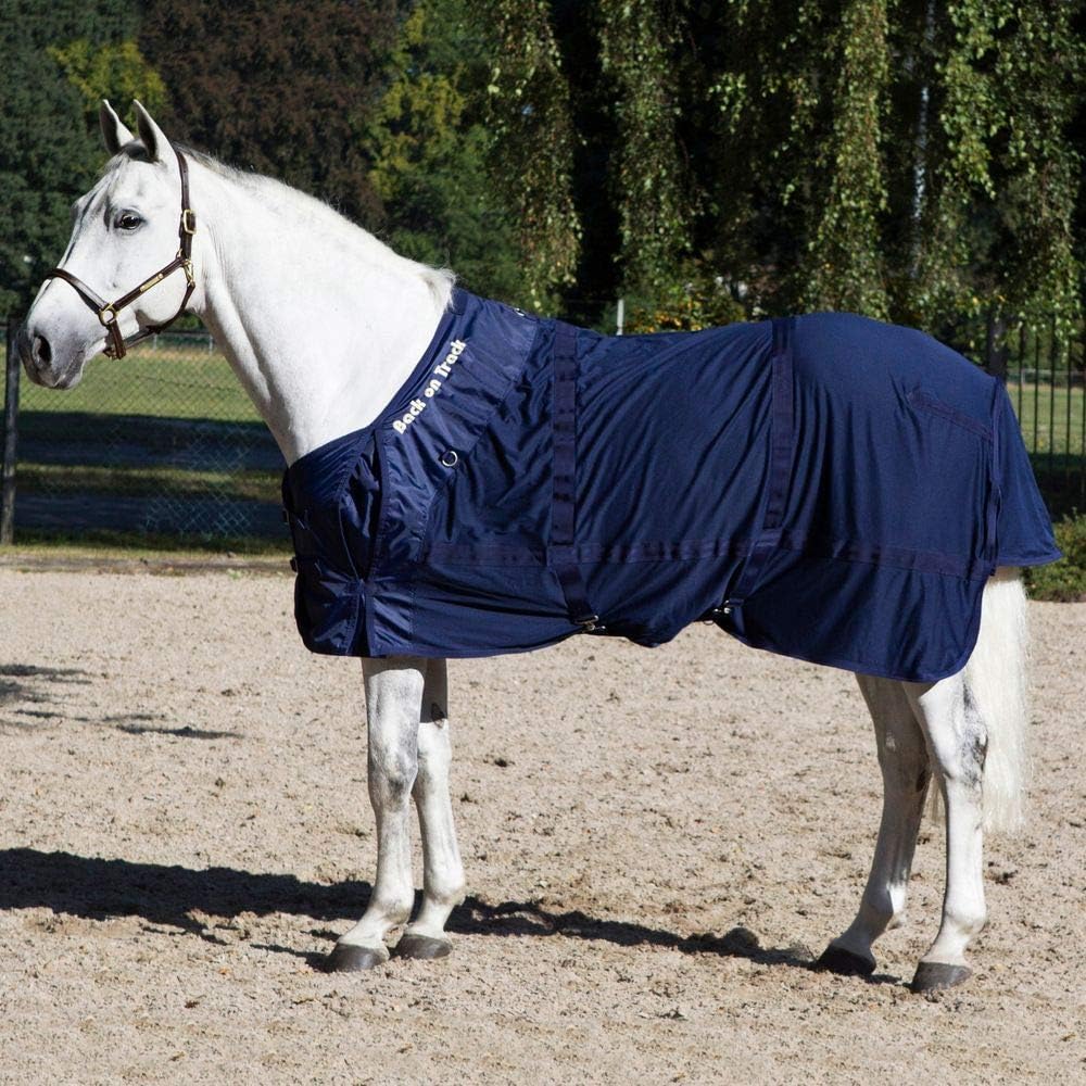 Amazon.com: Back on Track Mesh Sheet 69 Navy : Pet Supplies